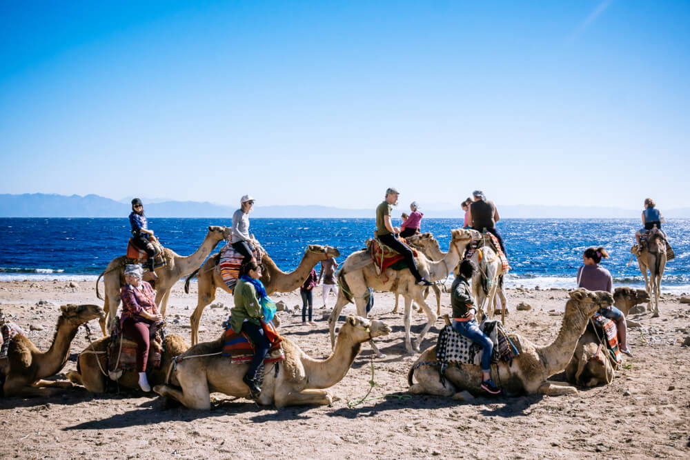 Top Things to Do in Dahab - Propertyfinder.eg