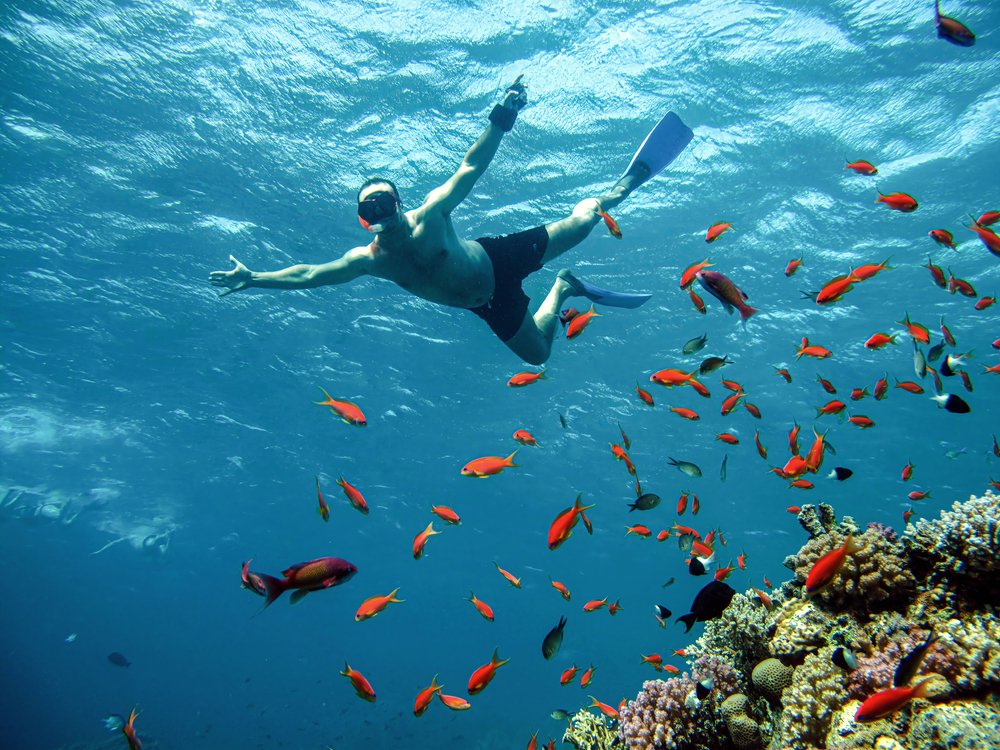 Best Beaches in Egypt - Propertyfinder.eg