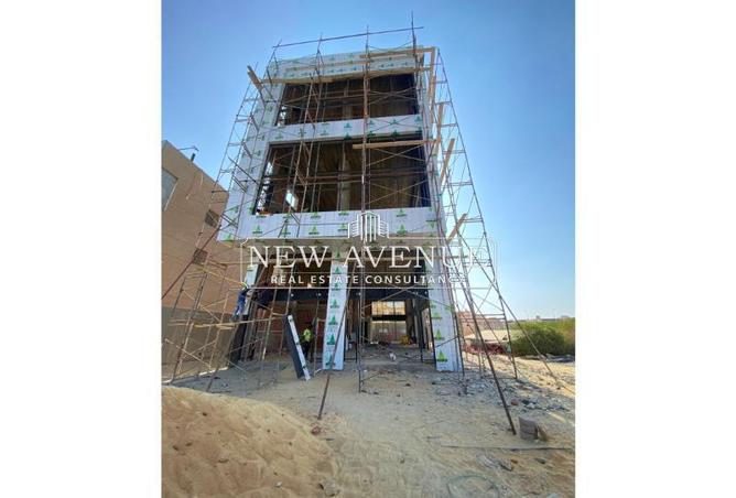 Whole buildings for rent in Moez Al Dawla St. - 1 whole buildings for ...