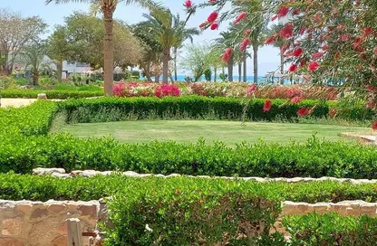 Properties for sale in Ras Sedr - 146 properties for sale | Property ...