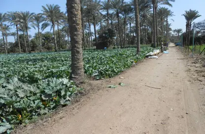 Farms for sale in Egypt - 27 farms for sale | Property Finder Egypt