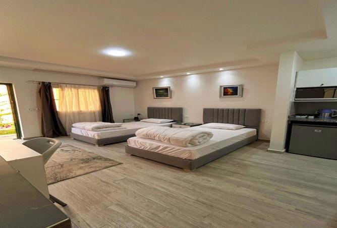 للايجار في حى اسكان الجامعه الامريكية: استوديو للايجار بالقرب من ال AUC ...